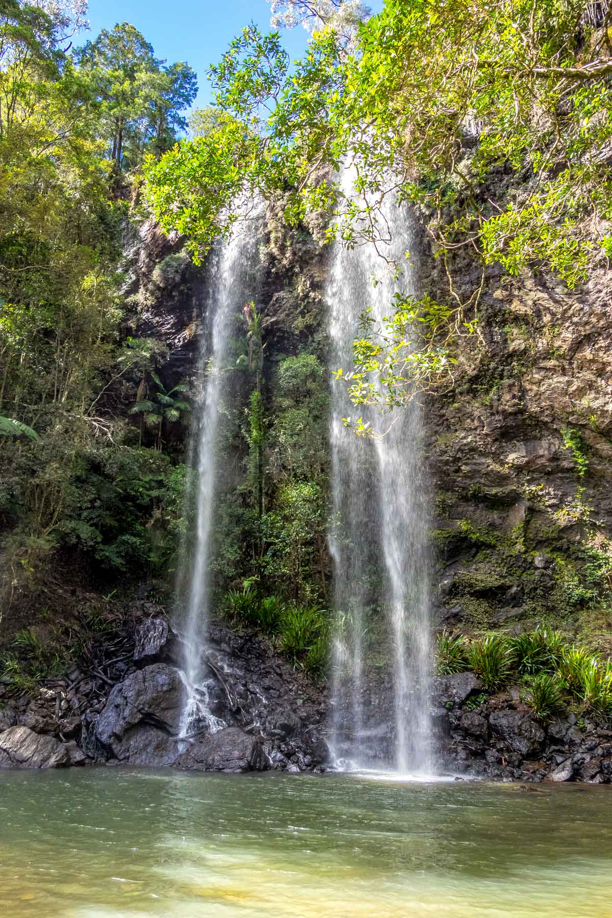 Impresionantes Spring Creek Falls Y Lugar De Picnic - 2026