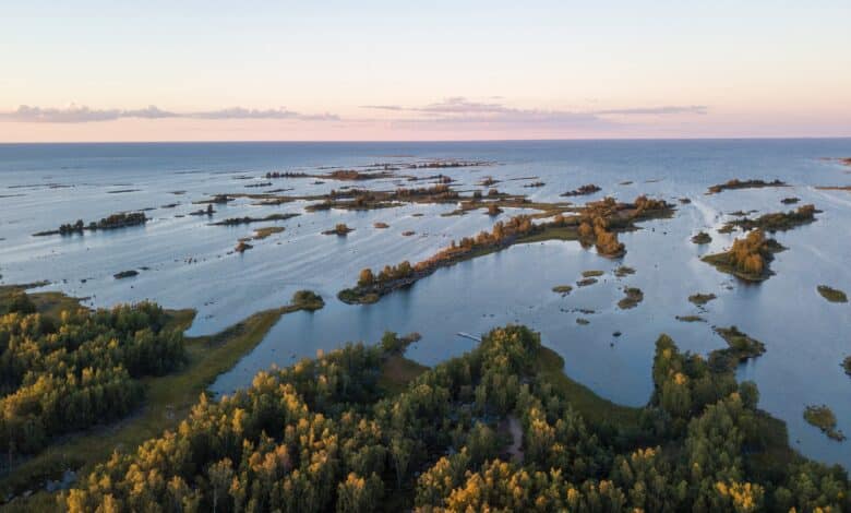 Finlandia En Noviembre: ¡clima, Vistas Y Actividades! - 2026