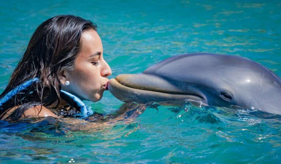 Diversión Para Toda La Familia En Dolphin Discovery 2025
